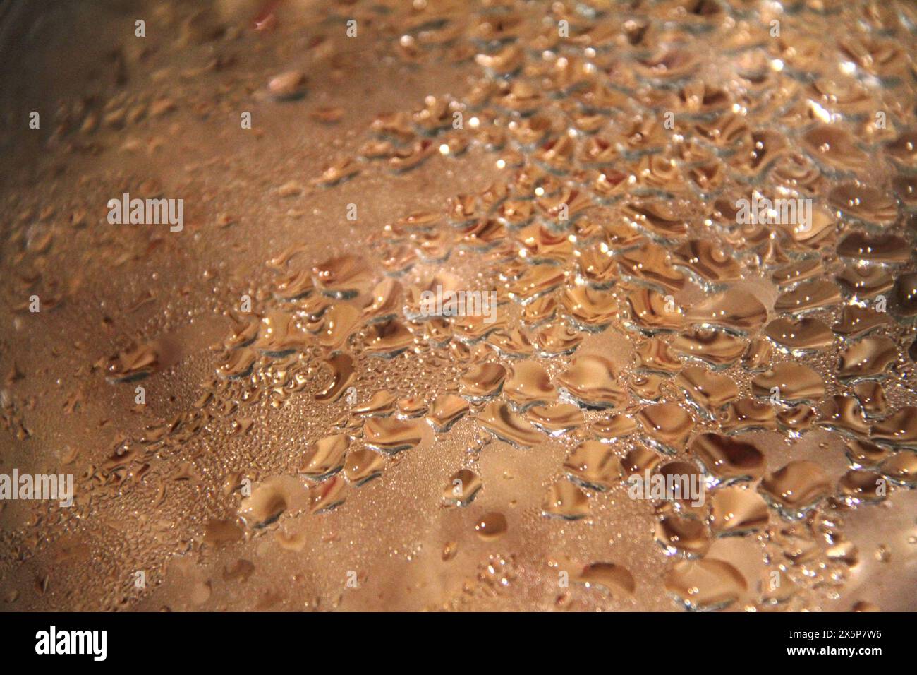 Condensation formed under a glass lid during cooking Stock Photo - Alamy