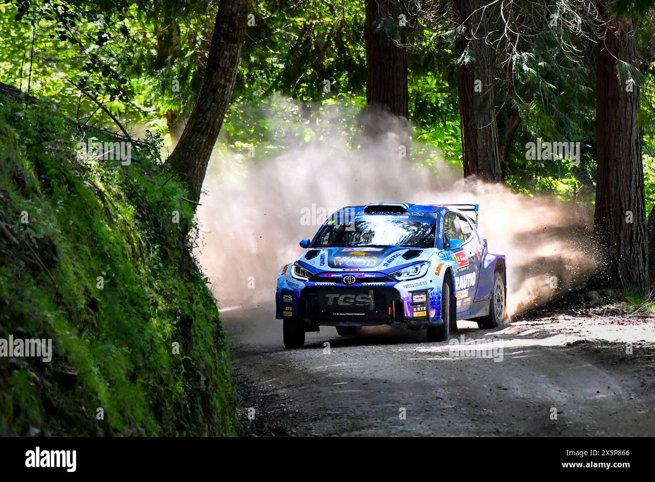 29 JOONA Lauri, HUSSI Janni, Skoda Fabia RS Rally2, action during the ...