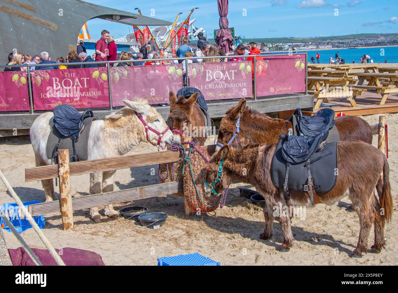 A favourite sight at the beach for many Stock Photo - Alamy