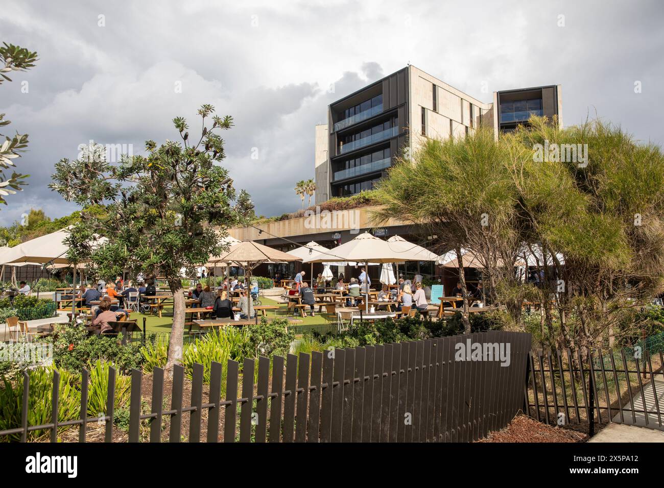 Harbord Diggers Mounties group community club offering food, drink and ...