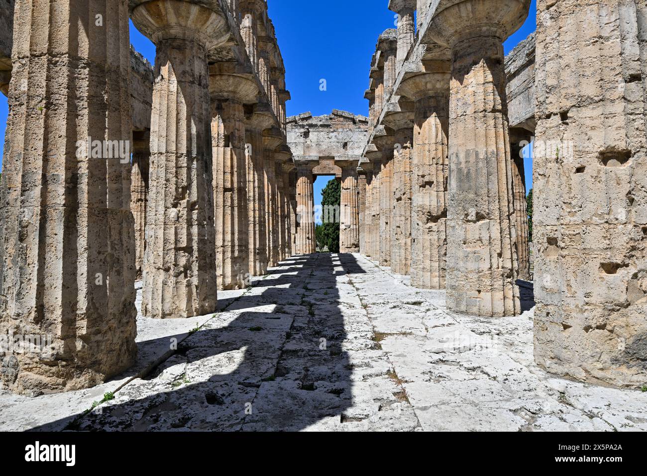Temple of Hera II at famous Paestum Archaeological UNESCO World Heritage Site, which contains ...