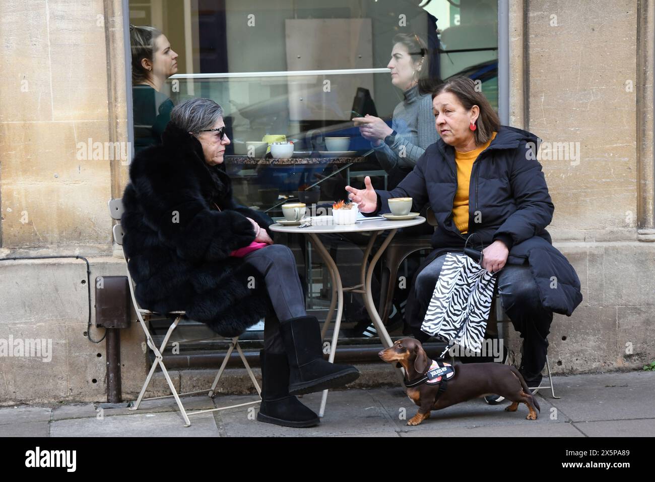 Candid street pets hi-res stock photography and images - Alamy