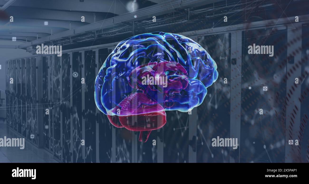 Image of network of connections and brain over server room Stock Photo ...