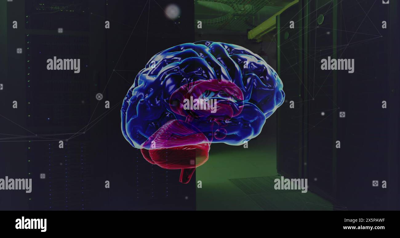 Image of network of connections and brain over server room Stock Photo ...