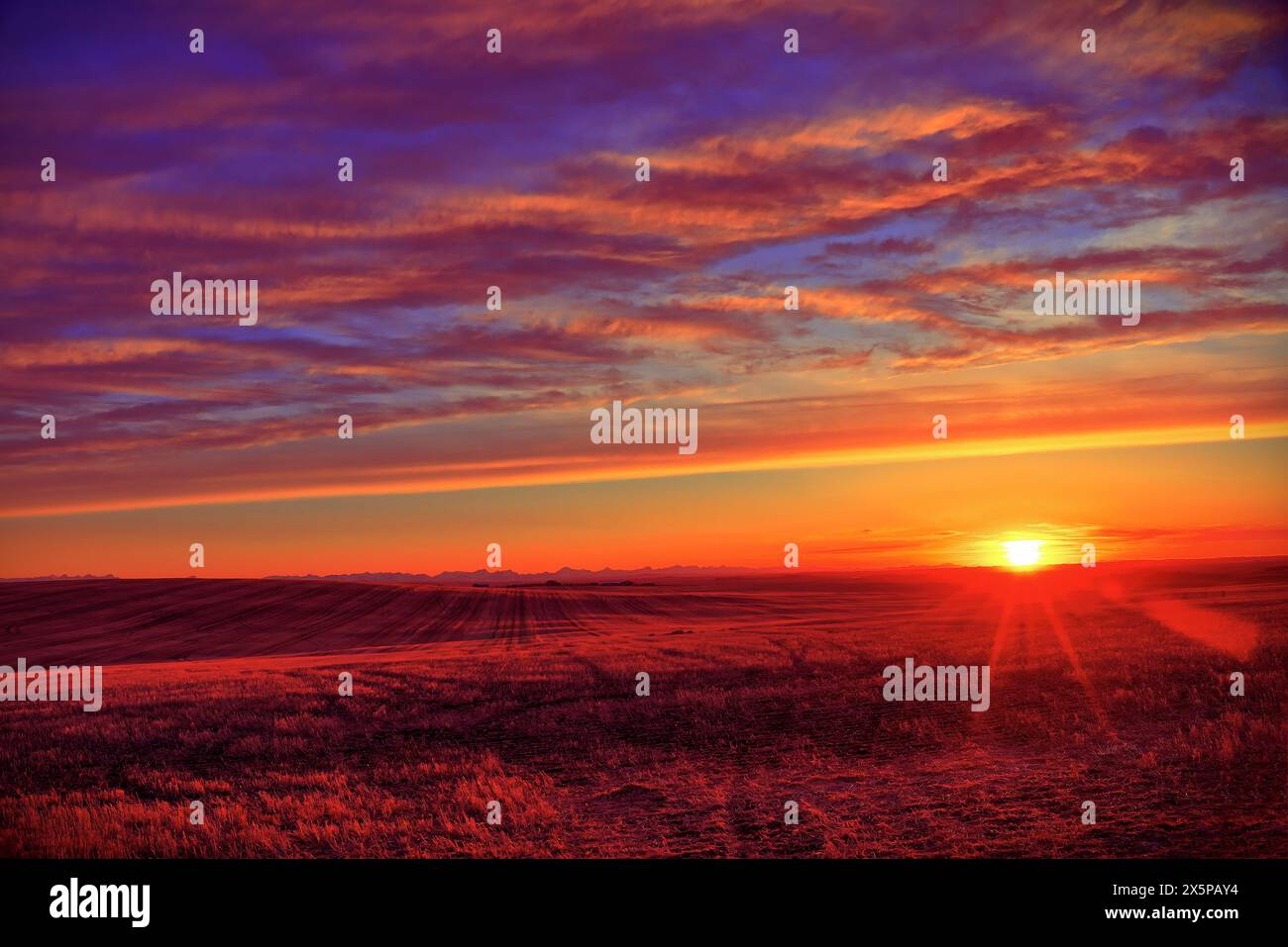 Here's a sunset I caught in our famous Alberta Prairies, with tiny ...