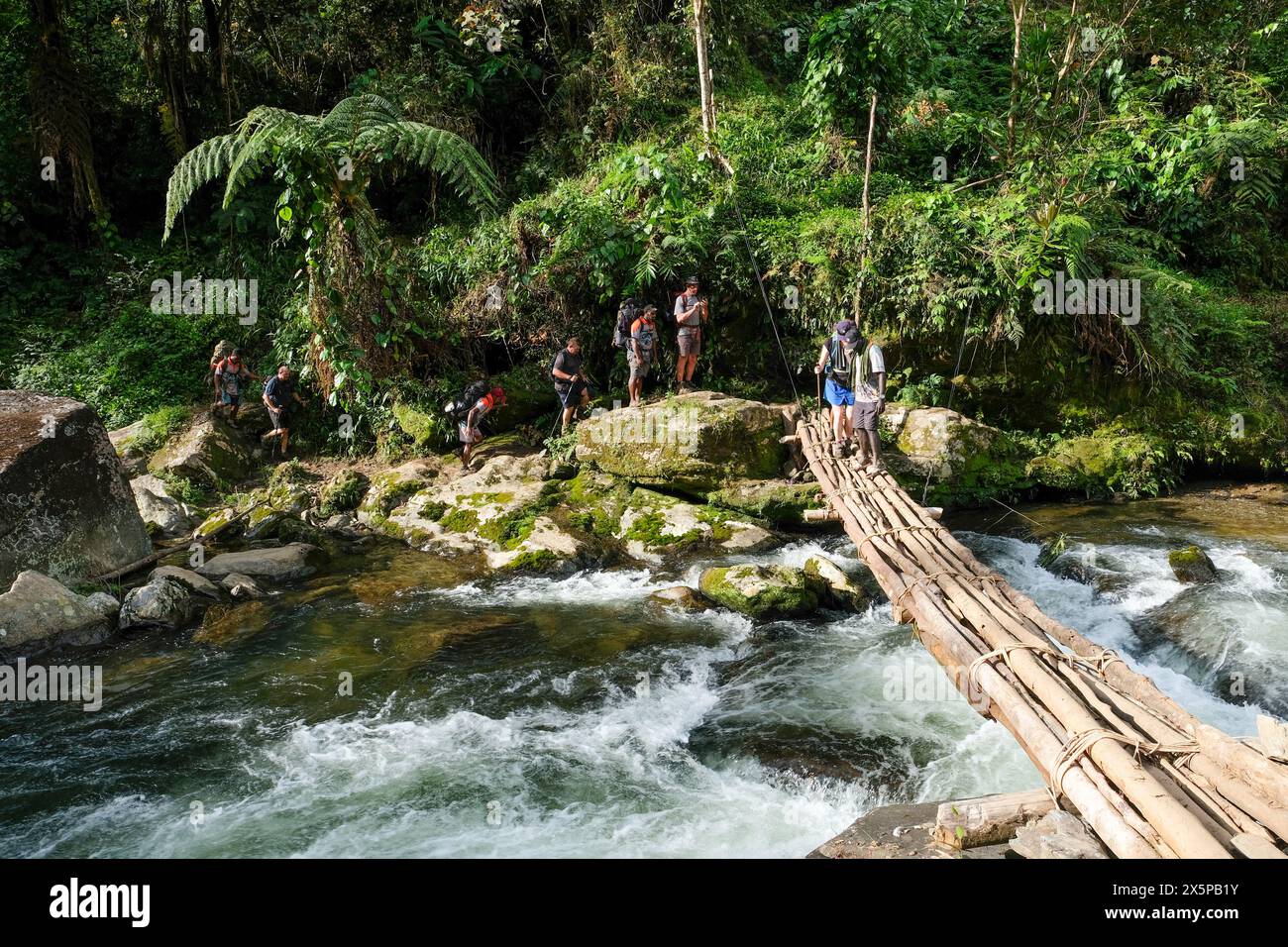 Trekker crossing a wooden bridge on the Kokoda Track, Papua New Guinea ...