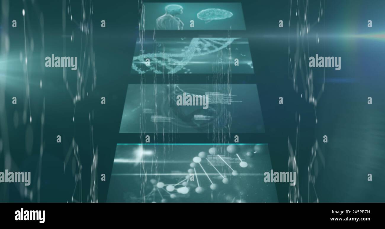Floating digital screens showing DNA strands and brain scans filling ...