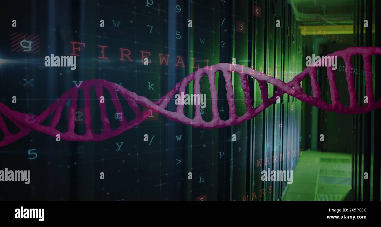Cyber security data processing and dna structure spinning against computer server room Stock ...