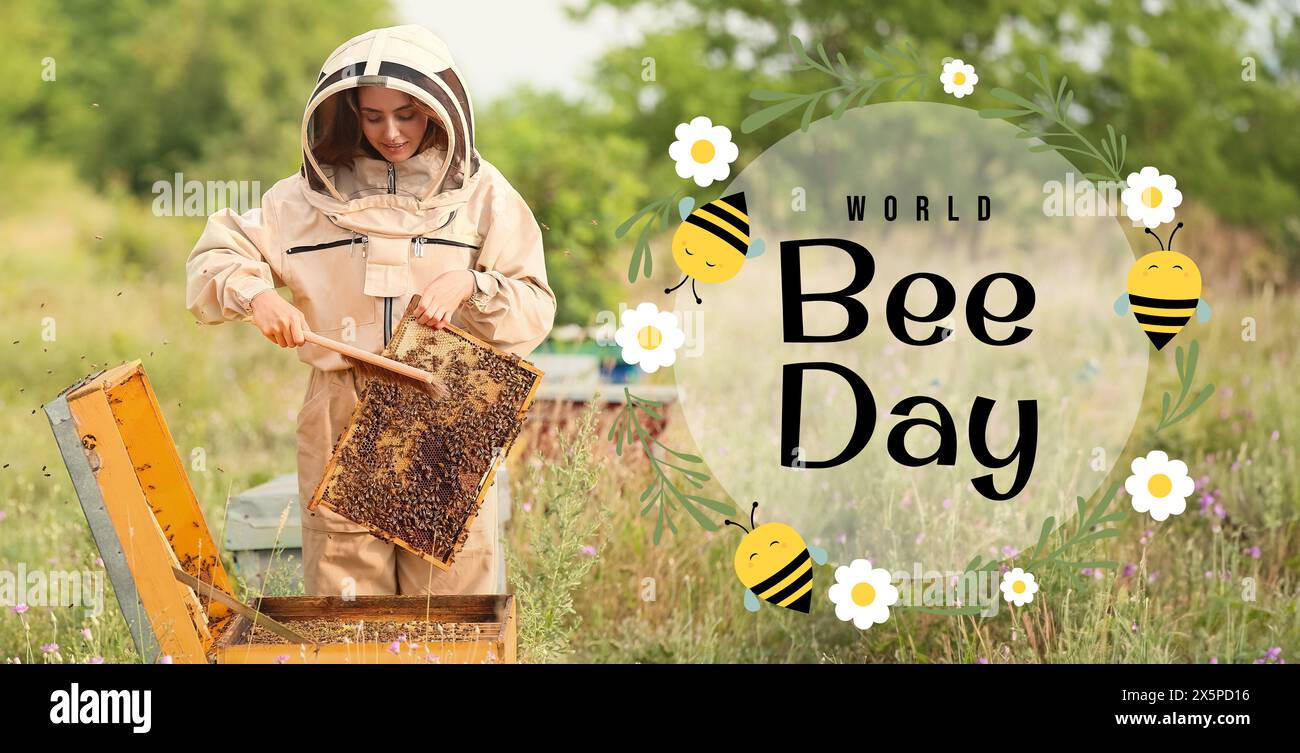 Banner for World Bee Day with beekeeper working at her apiary Stock ...