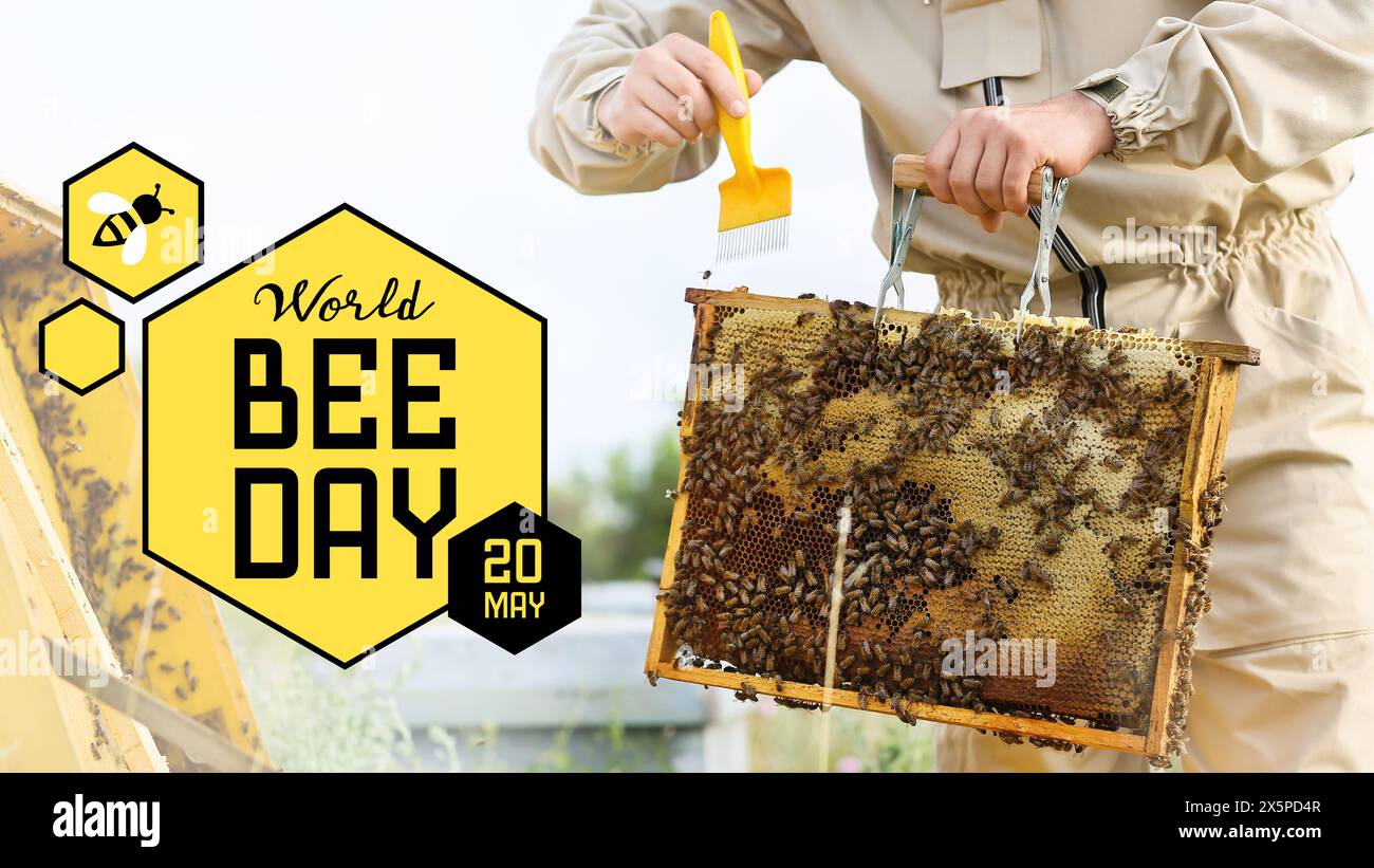 Banner for World Bee Day with beekeeper working at his apiary Stock ...