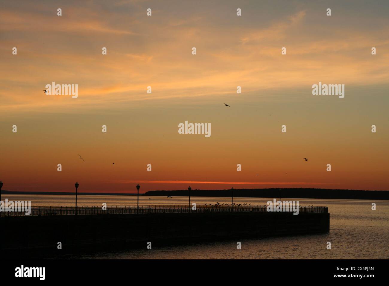 Early Morning Sunrise Over Looking the Water Stock Photo - Alamy