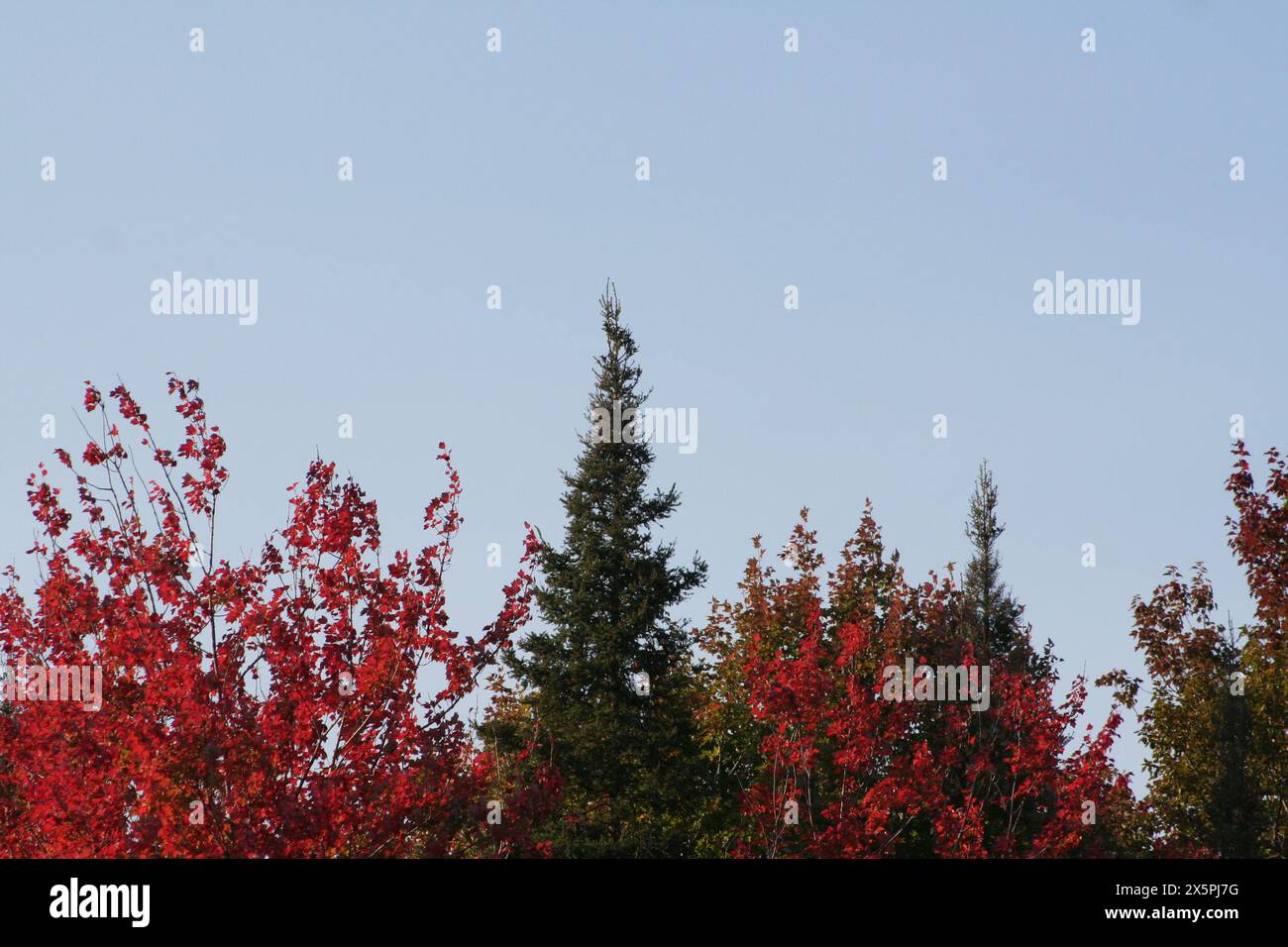 Bright clear colors hi-res stock photography and images - Alamy