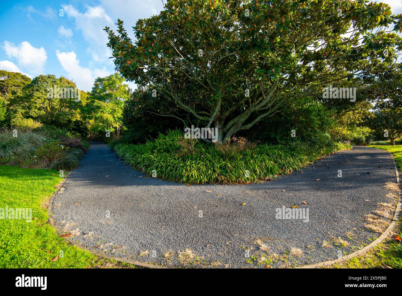 Auckland Botanic Gardens - New Zealand Stock Photo - Alamy