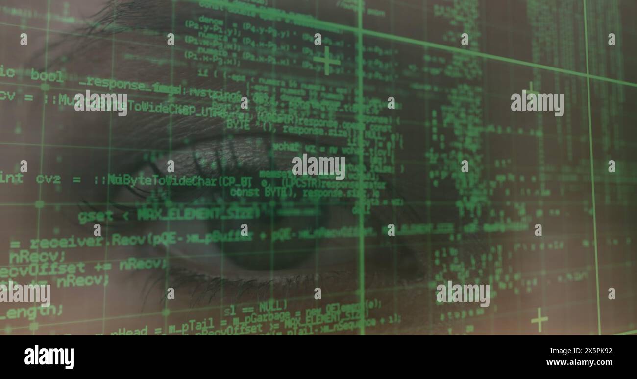 Image of data processing over eye Stock Photo - Alamy