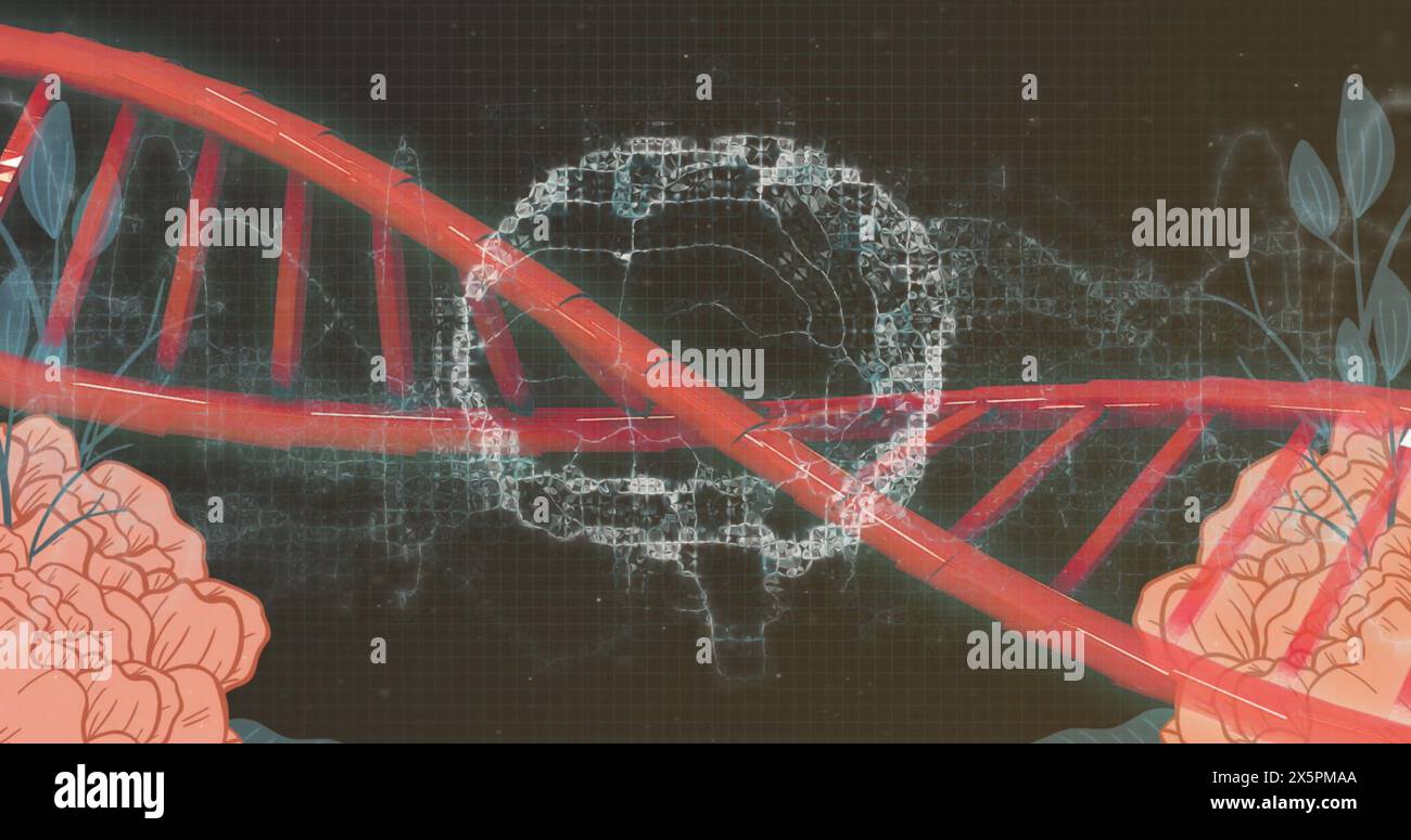 Image of dna structure and digital wave over spinning human brain icon ...