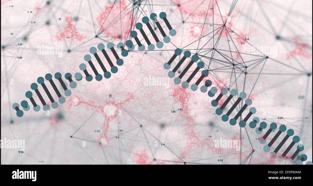 Image Of Network Of Connections Dna And Molecular Structures Floating