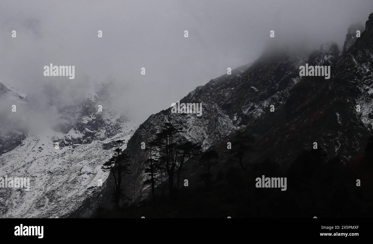 cloudy foggy alpine forest and panorama of snowcapped himalaya ...