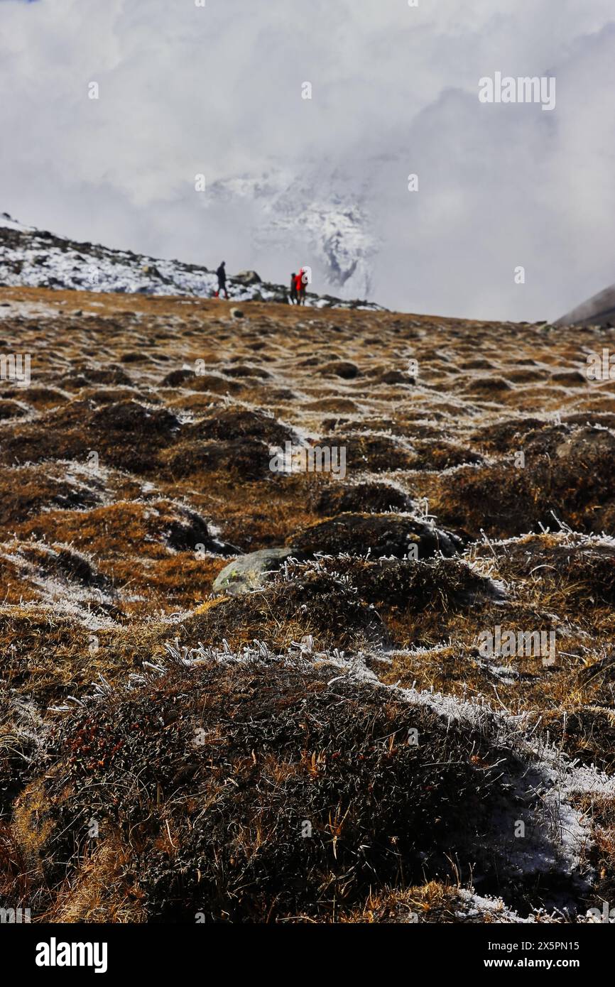 scenic landscape of alpine tundra valley and cloud covered snowcapped ...