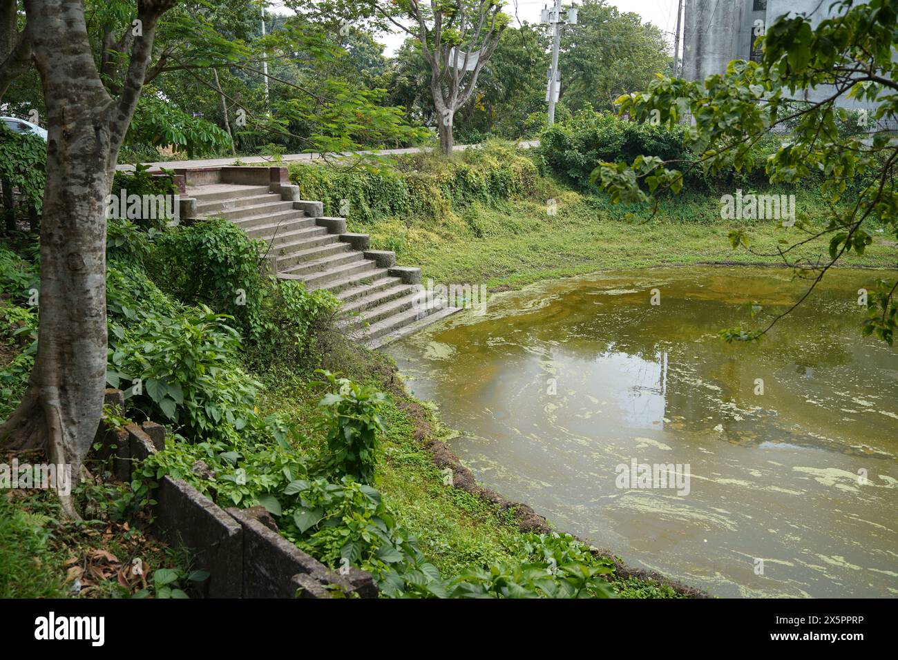 Pond 4 with Ghat of Panam City. Sonargaon, Narayanganj, Bangladesh ...