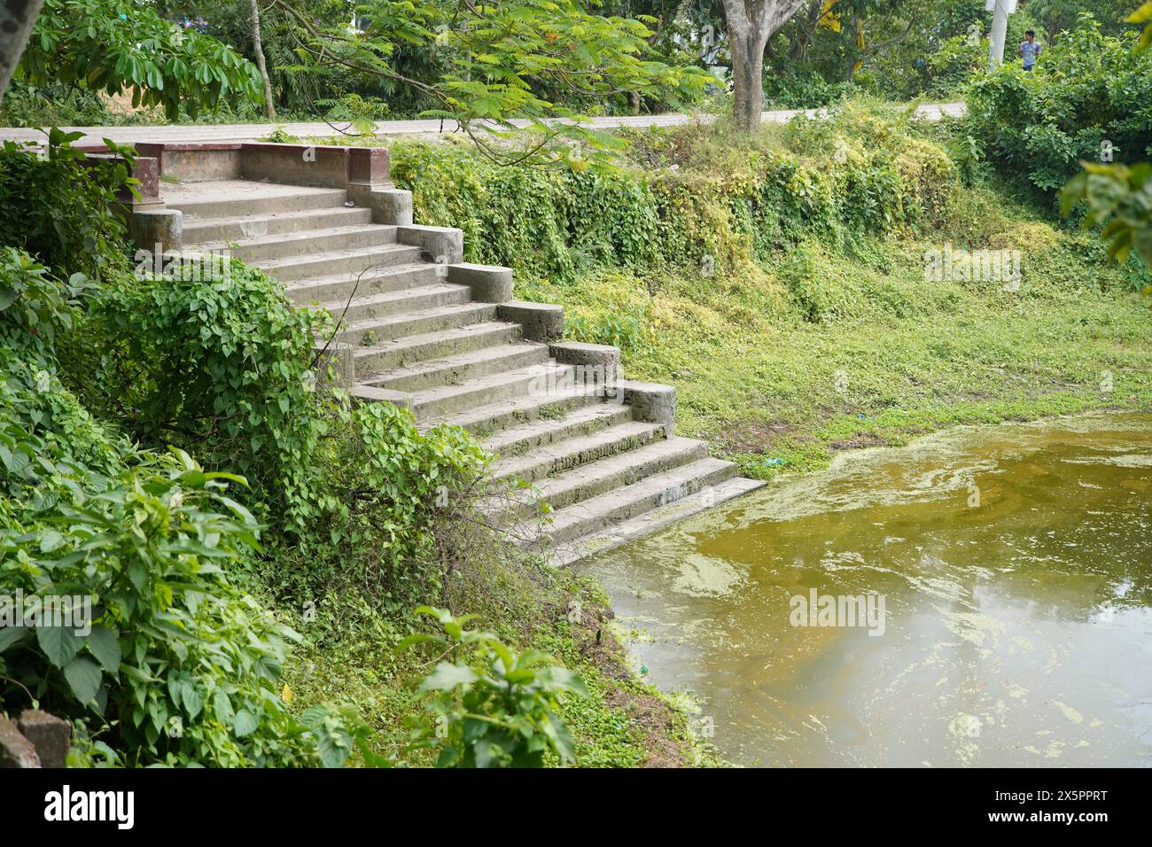 Pond 4 with Ghat of Panam City. Sonargaon, Narayanganj, Bangladesh ...