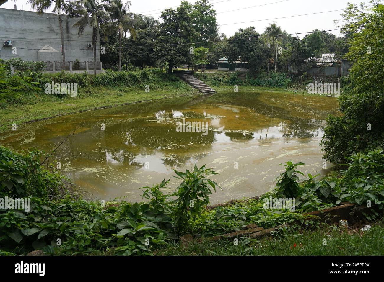 Pond 4 with Ghat of Panam City. Sonargaon, Narayanganj, Bangladesh ...