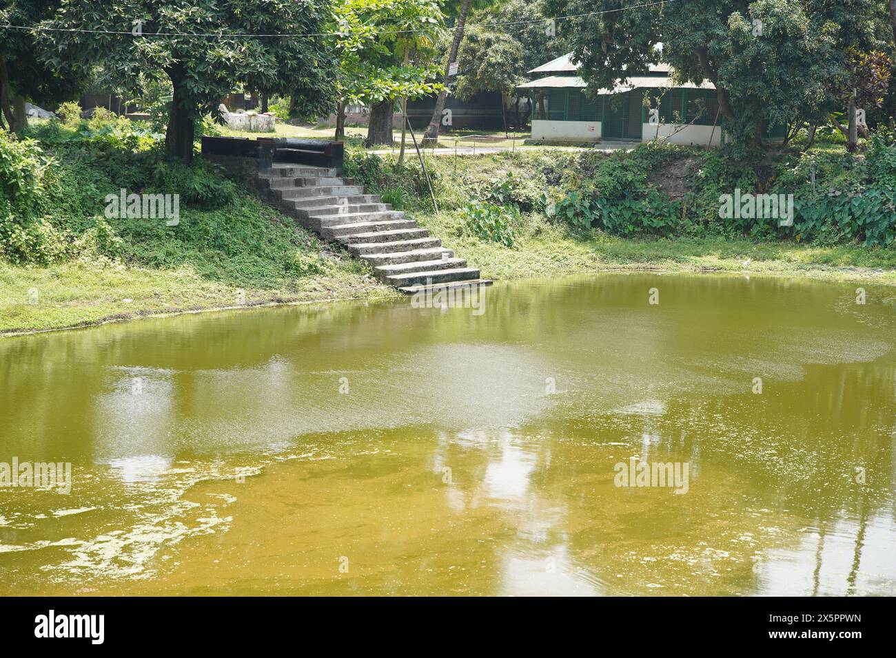 Pond 4 with Ghat of Panam City. Sonargaon, Narayanganj, Bangladesh ...