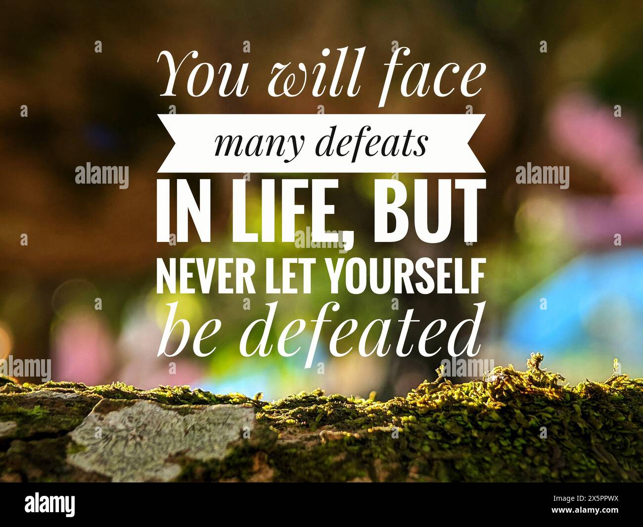 Motivation quotes with text You will face many defeat in life,but never ...