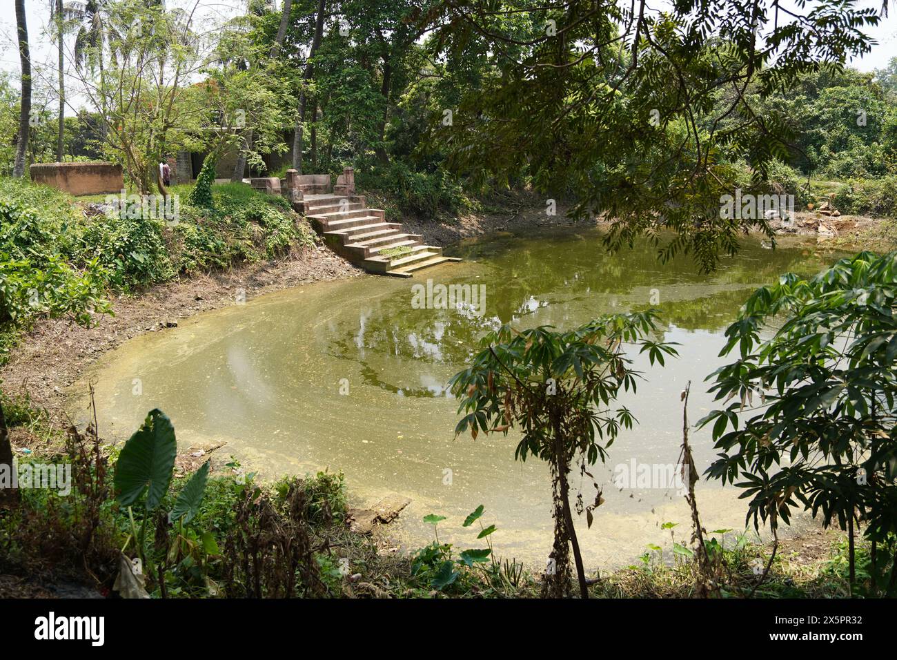 Pond 1 with Ghat of Panam City. Sonargaon, Narayanganj, Bangladesh ...