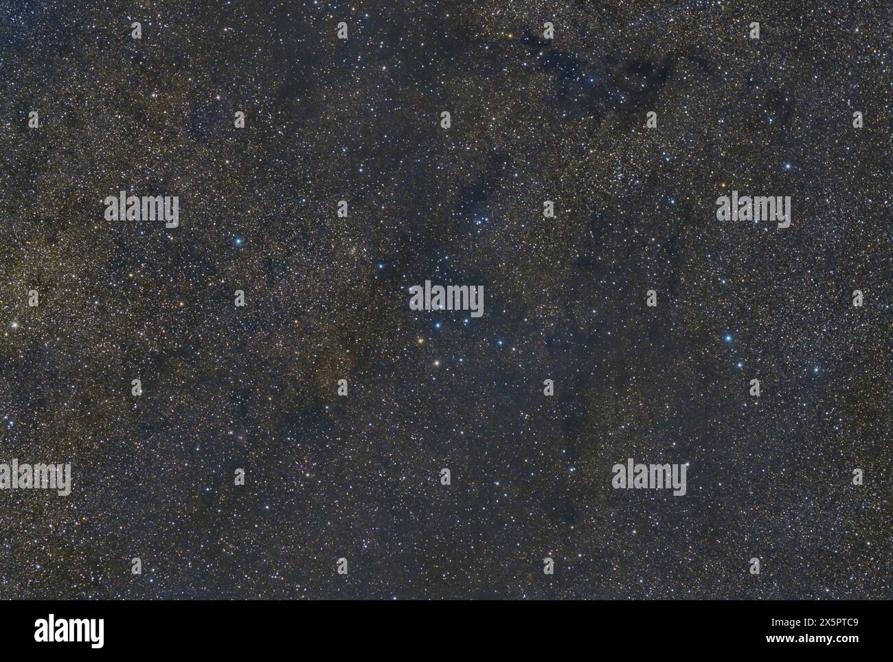 Brocchi's cluster hi-res stock photography and images - Alamy