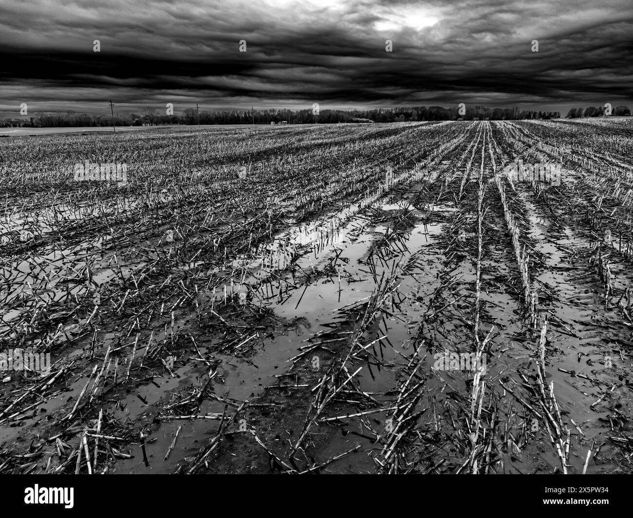 drone view above an agriculture field with standing water in the spring ...