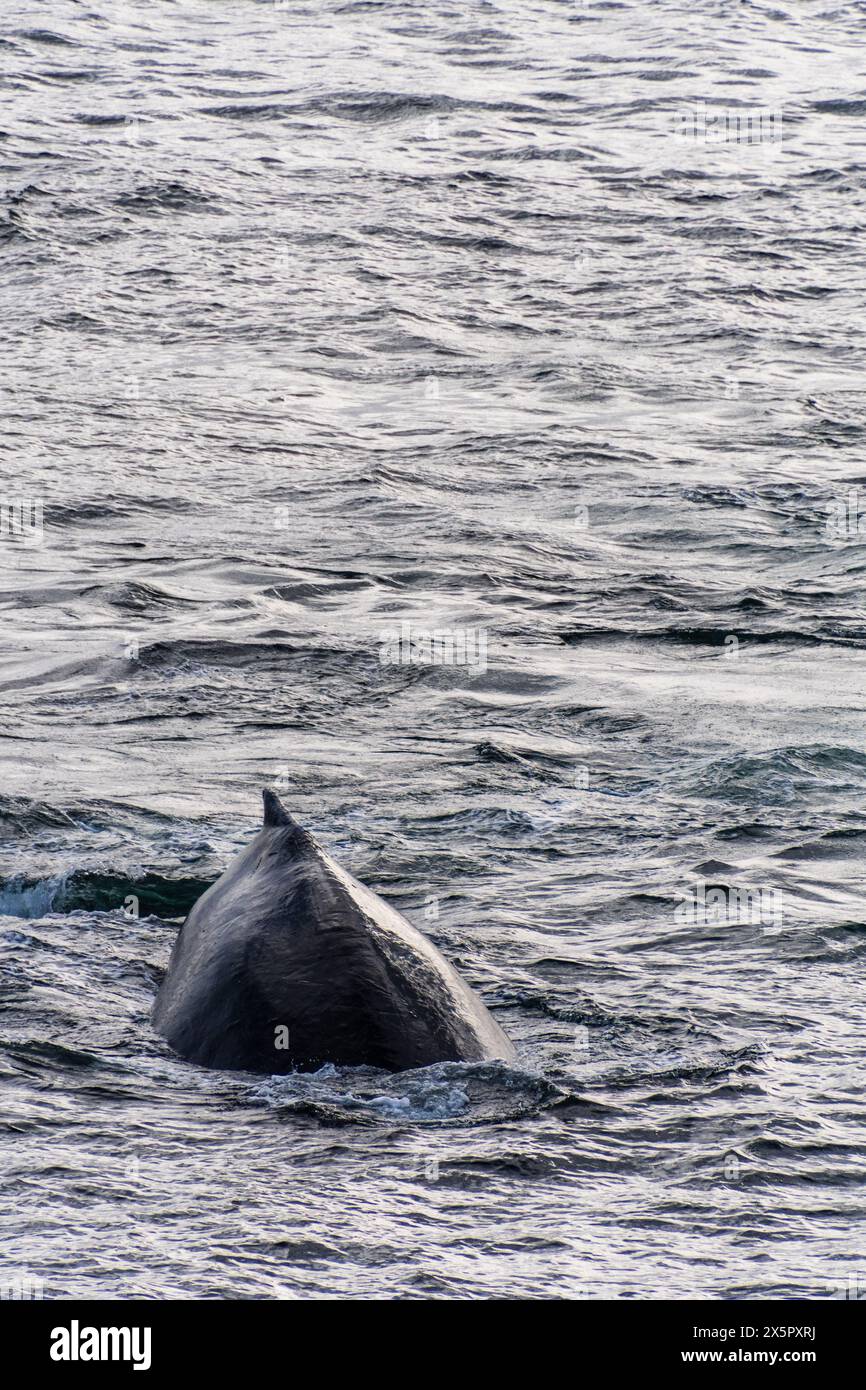 Charlotte graham photography hi-res stock photography and images - Alamy
