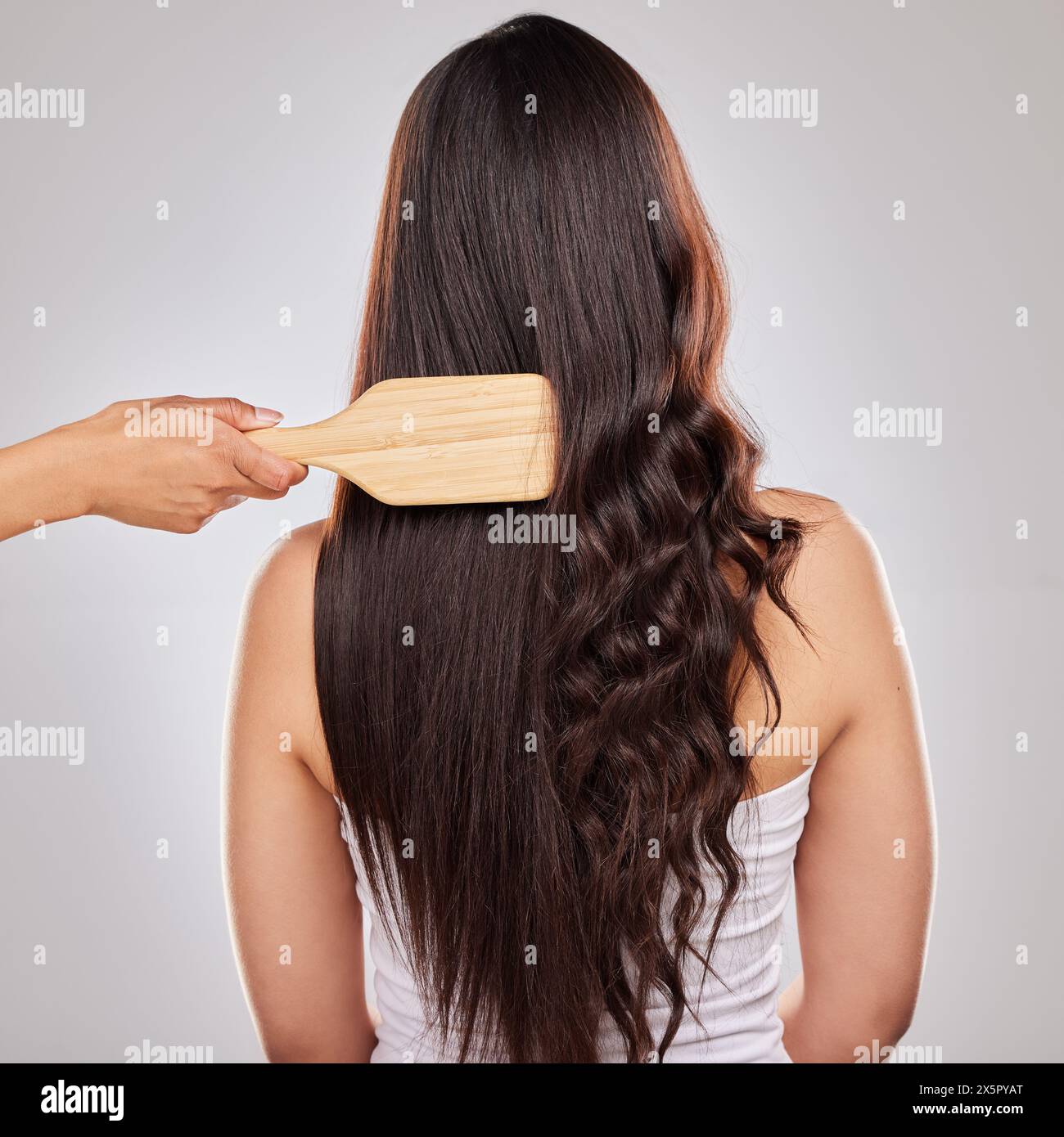 Hair, hand and brush for person in studio, back view and straighten of ...