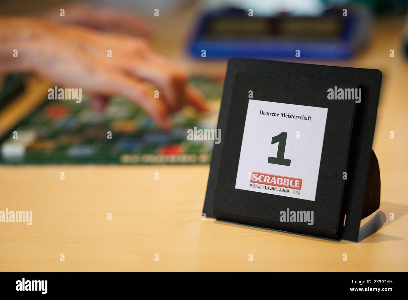FILED - 10 May 2024, North Rhine-Westphalia, Minden: Scrabble players ...