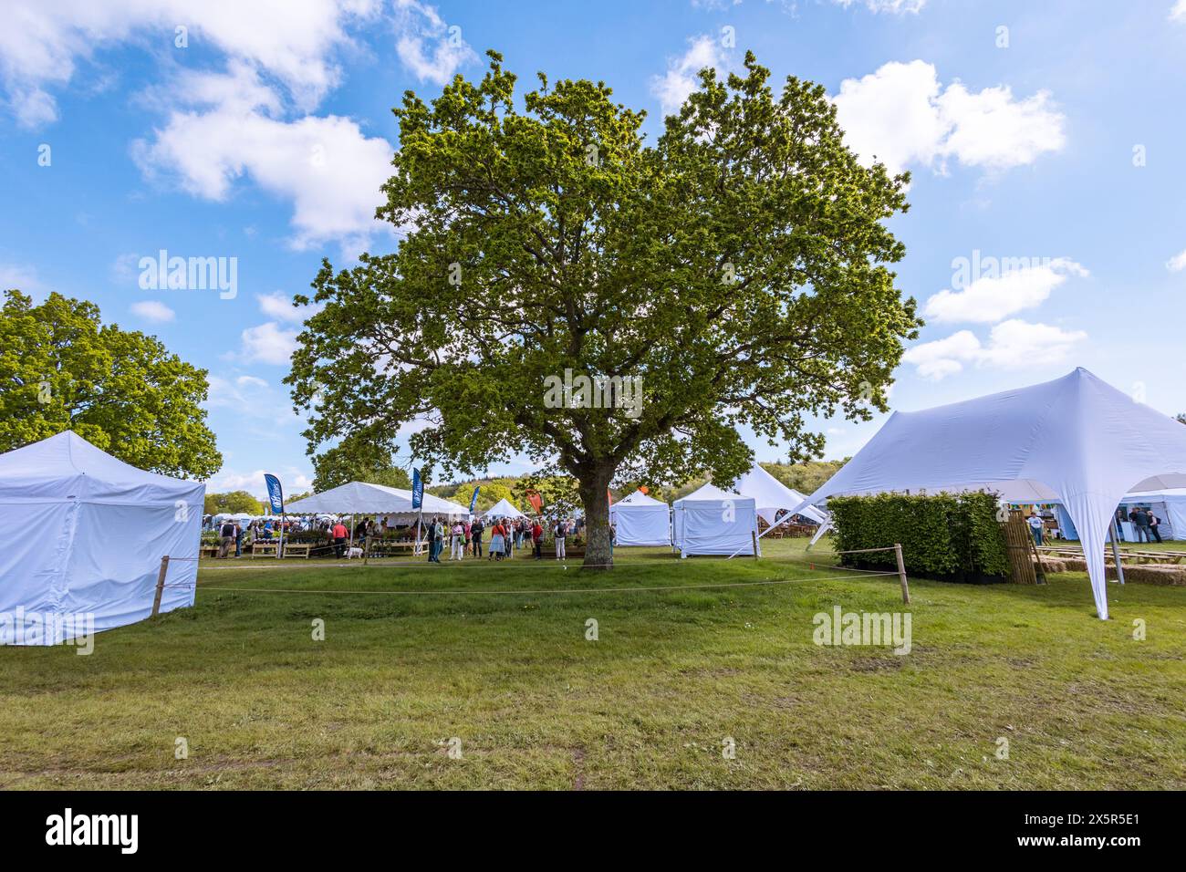 BBC Gardeners' World Spring Fair 2024 Stock Photo - Alamy