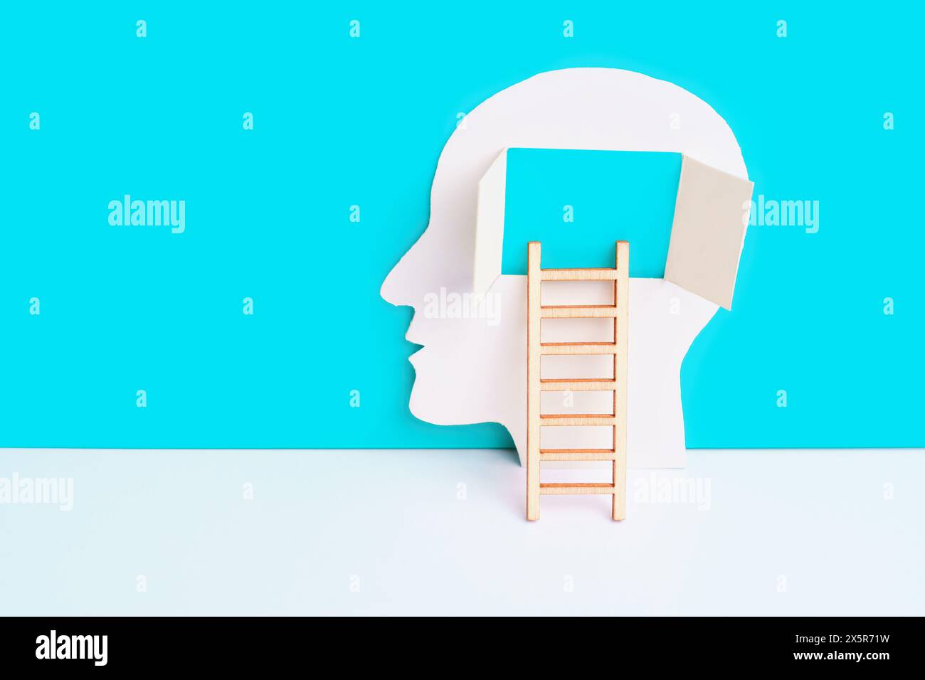 Small wooden ladder extends towards an open window within the human ...