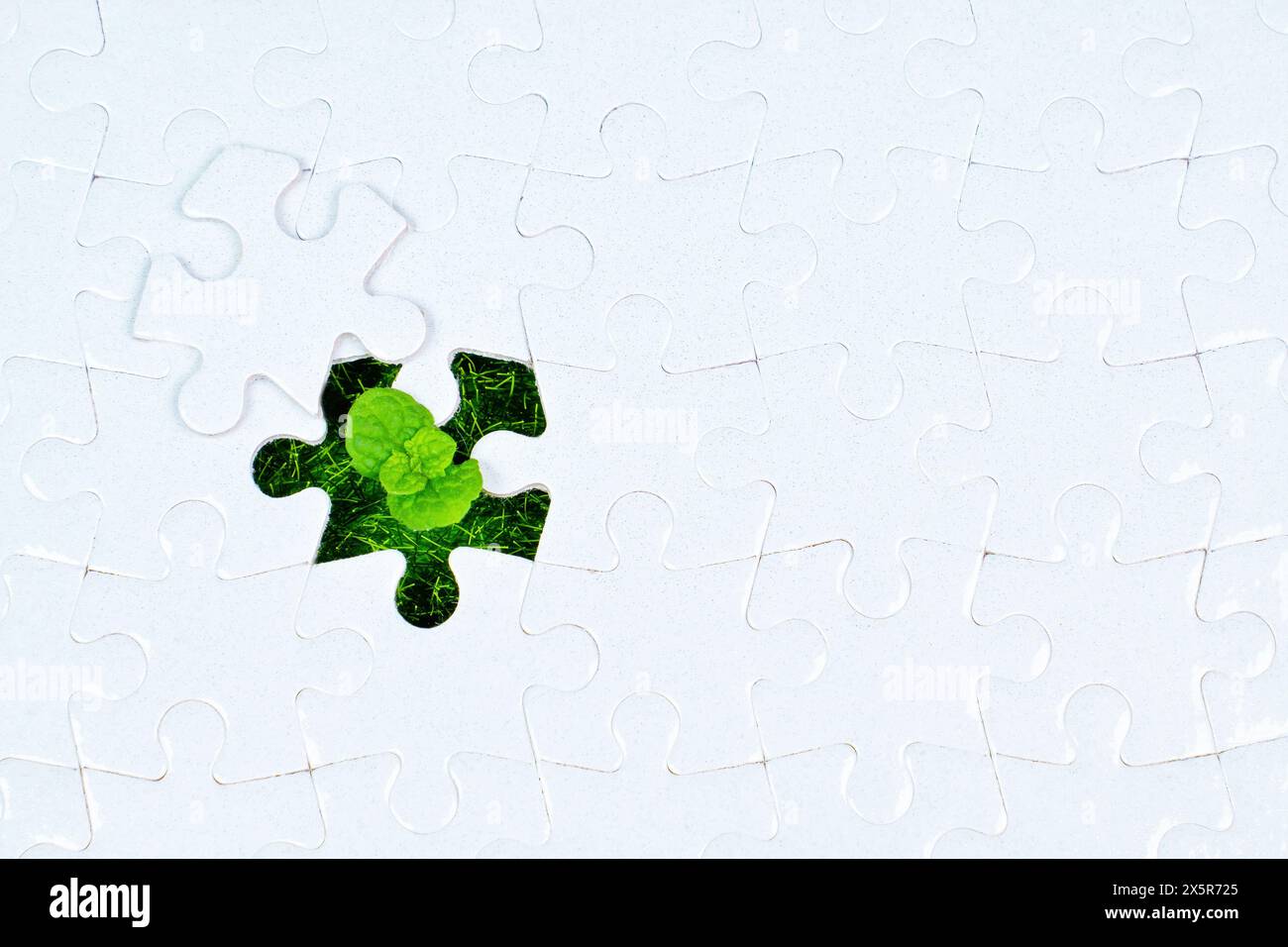 Small green sprout seen coming through the missing piece of a white ...
