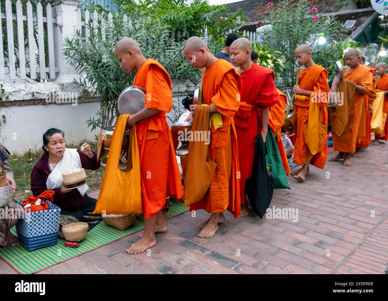 Morning Alms ceremony, Luang Prabang, Laos Stock Photo - Alamy