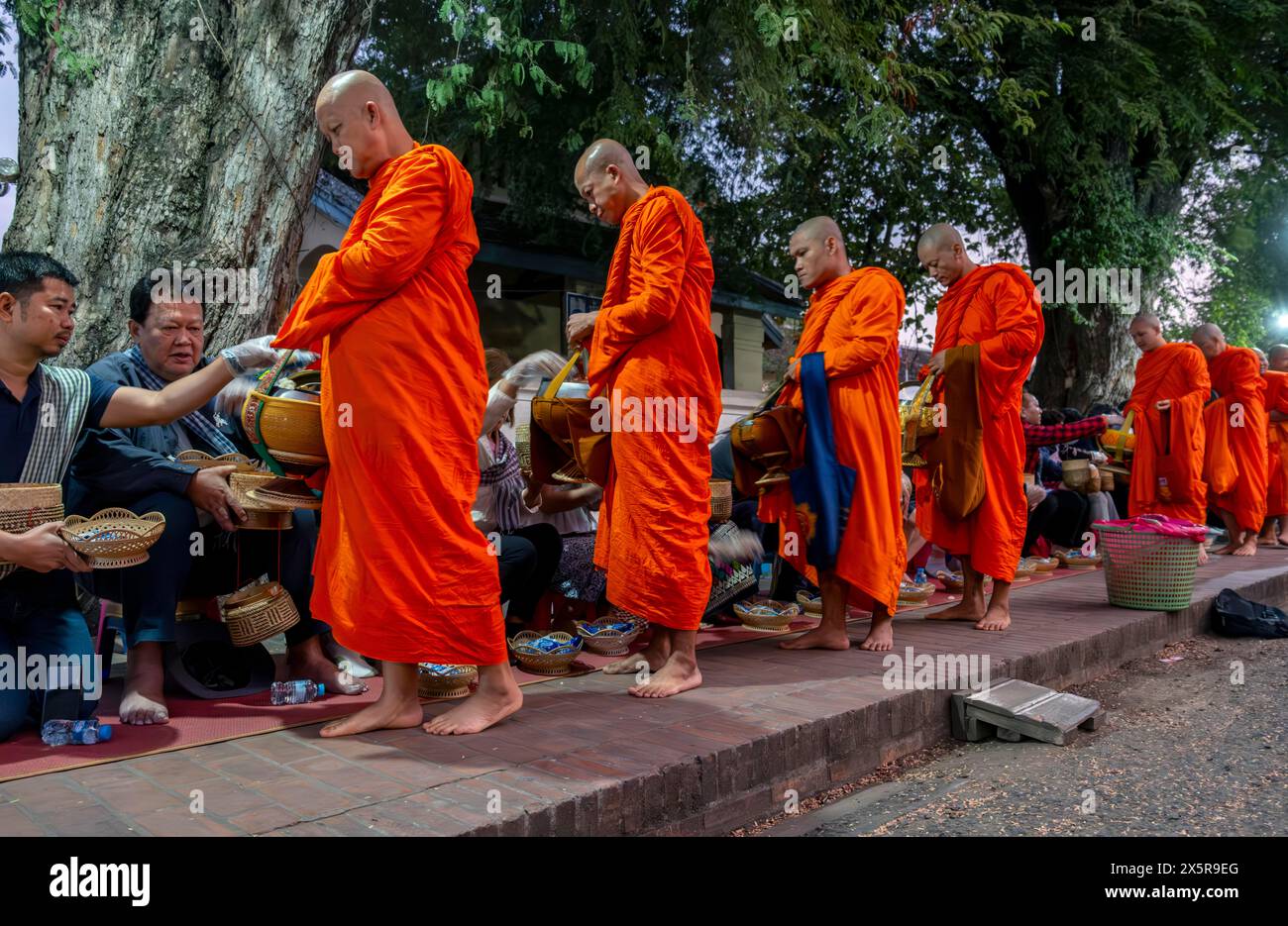 Morning Alms ceremony, Luang Prabang, Laos Stock Photo - Alamy