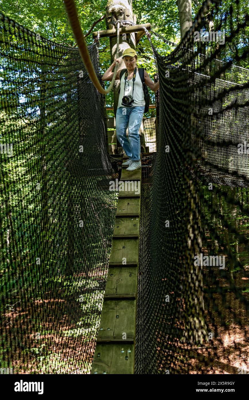 Sporty woman, tourist with camera in treetop path, suspension bridges ...