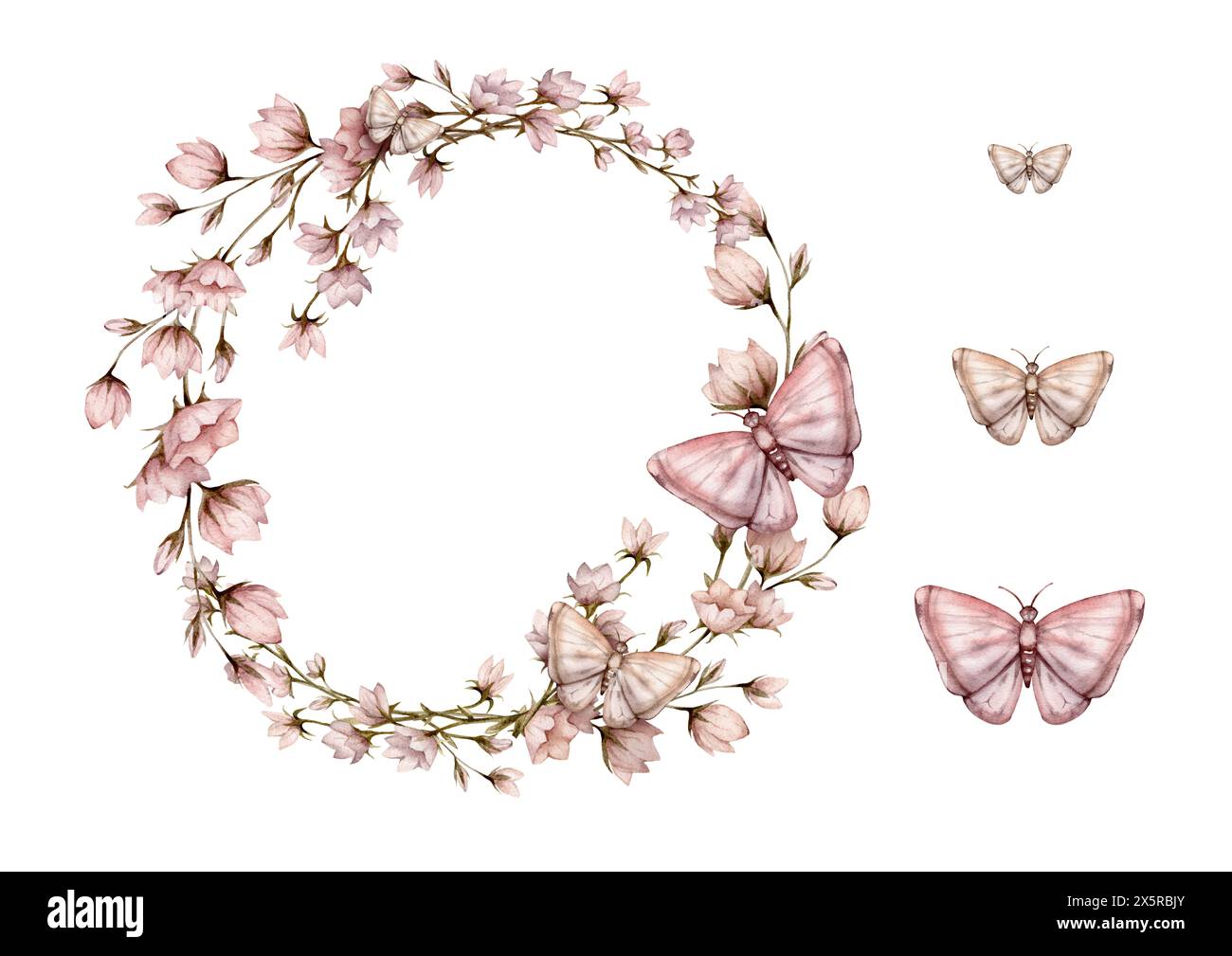 Set of watercolor botanical autumn illustration branches and light pink ...