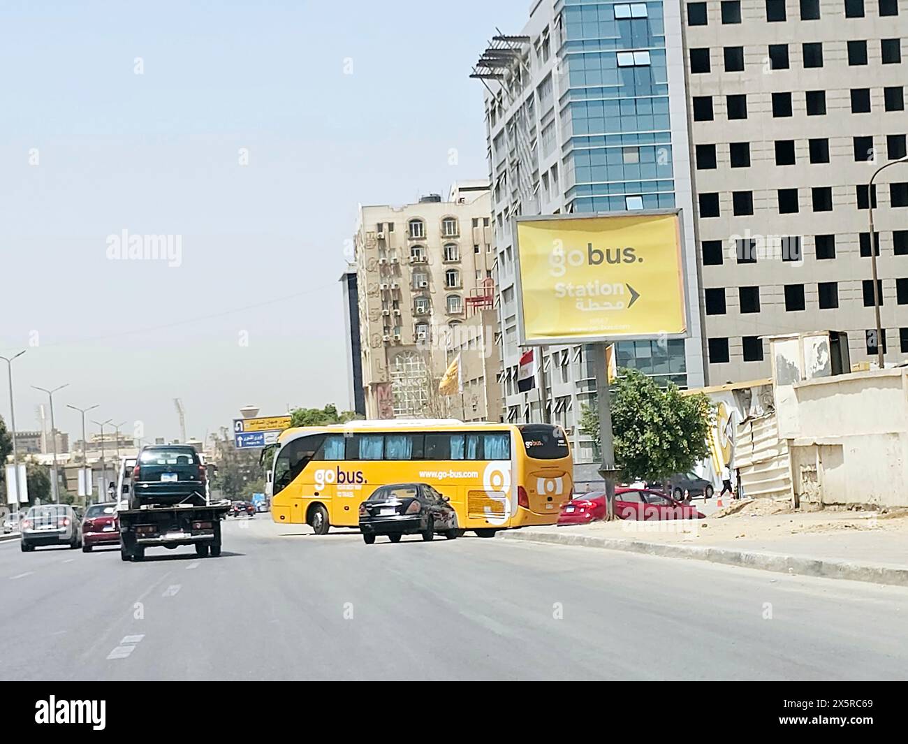 Egyptian tourist bus driver hi-res stock photography and images - Alamy