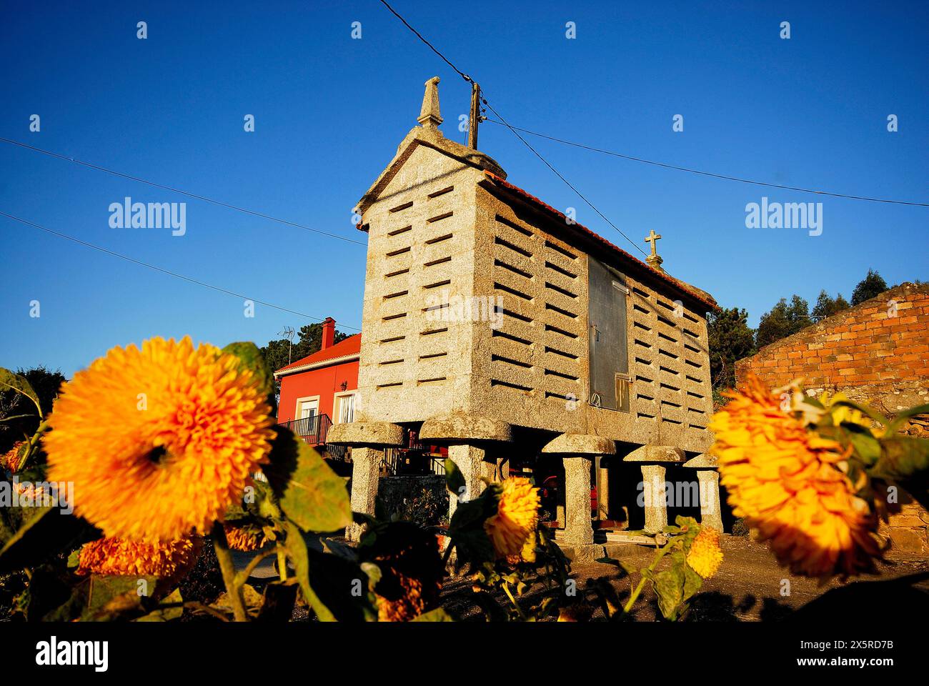 Raised column hi-res stock photography and images - Alamy