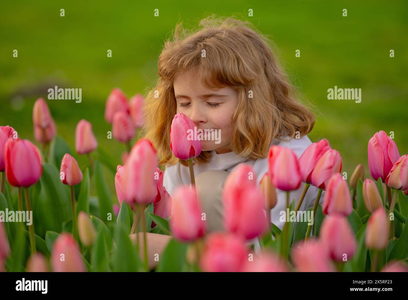 Cute pretty blonde kid with eyes closed smelling tulip flower in the ...