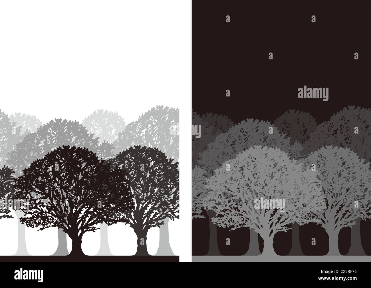 Vector Monochrome Daytime And Night Time Seamless Forest Silhouette ...
