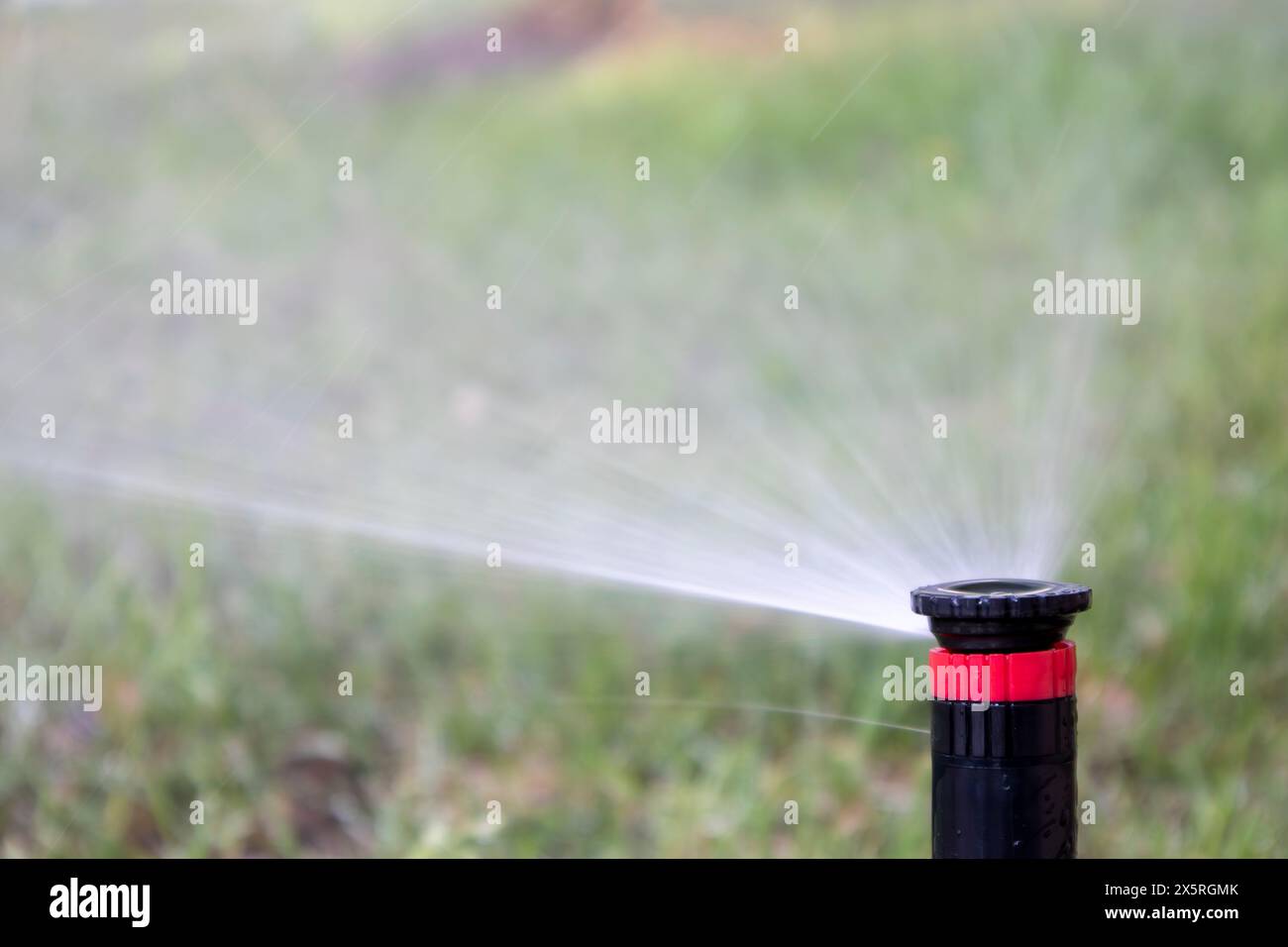 Close-up of a garden sprinkler in action, with water spraying gently ...