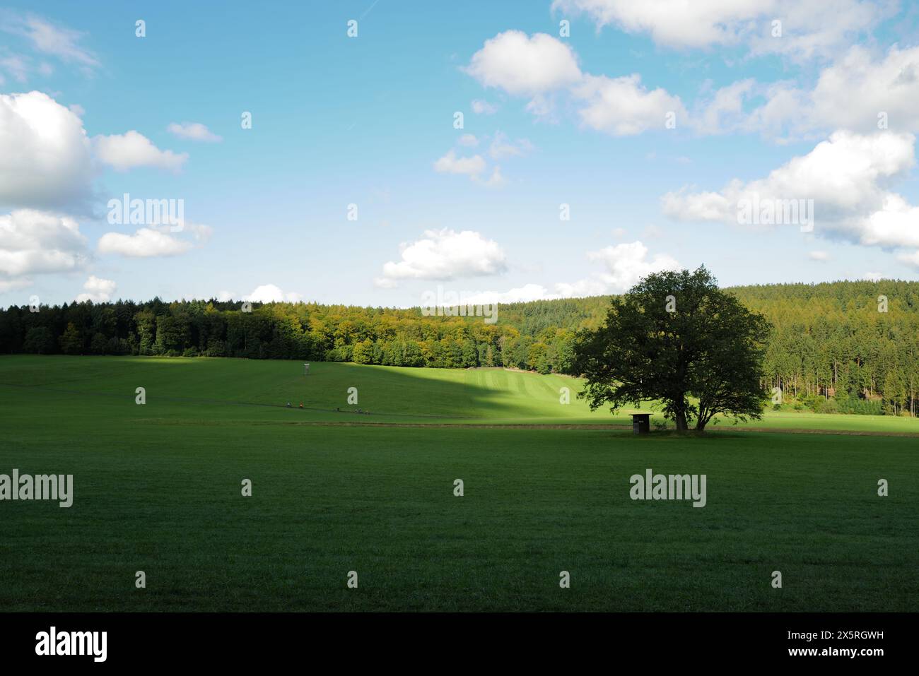 Lone tree shadow in vast hi-res stock photography and images - Alamy