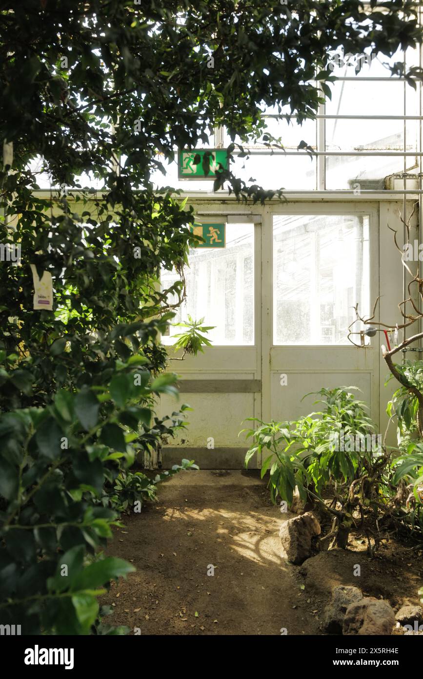 Charming white door nestled in the lush greenery of Aarhus Botanical ...