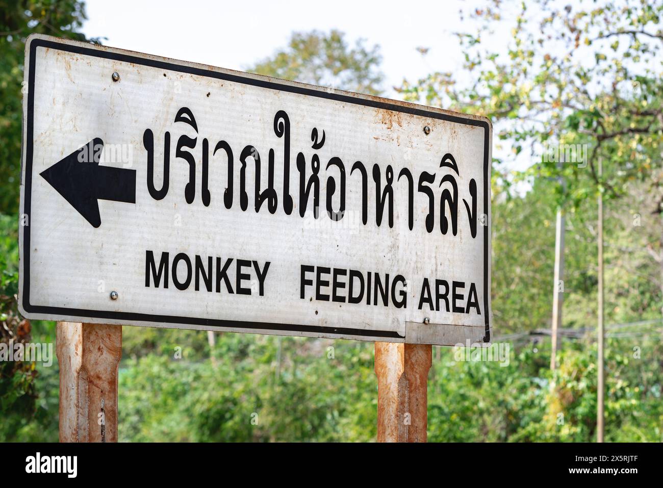 Rare old sign monkey feeding area road sigh in Thailand thai language ...