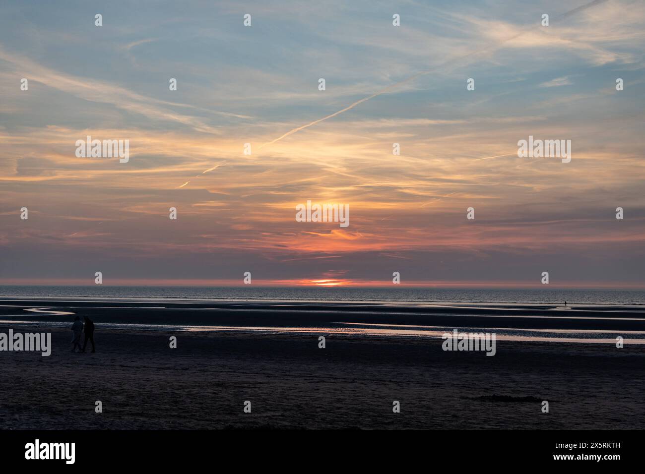 Digitalx hi-res stock photography and images - Alamy