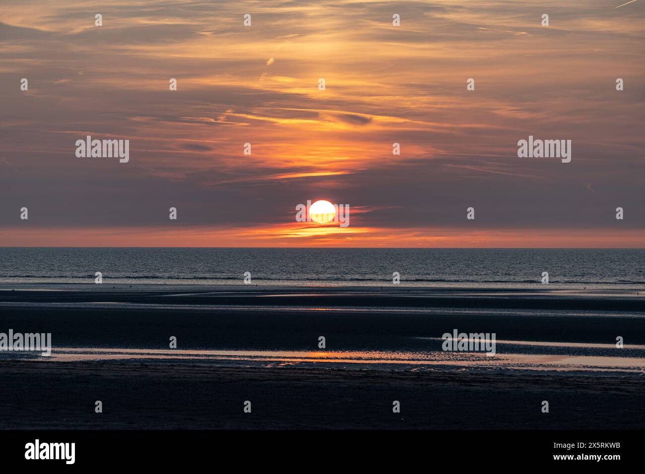 Digitalx hi-res stock photography and images - Alamy